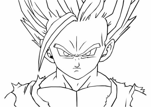 Découvrez les meilleurs coloriage de Sangoku à imprimer