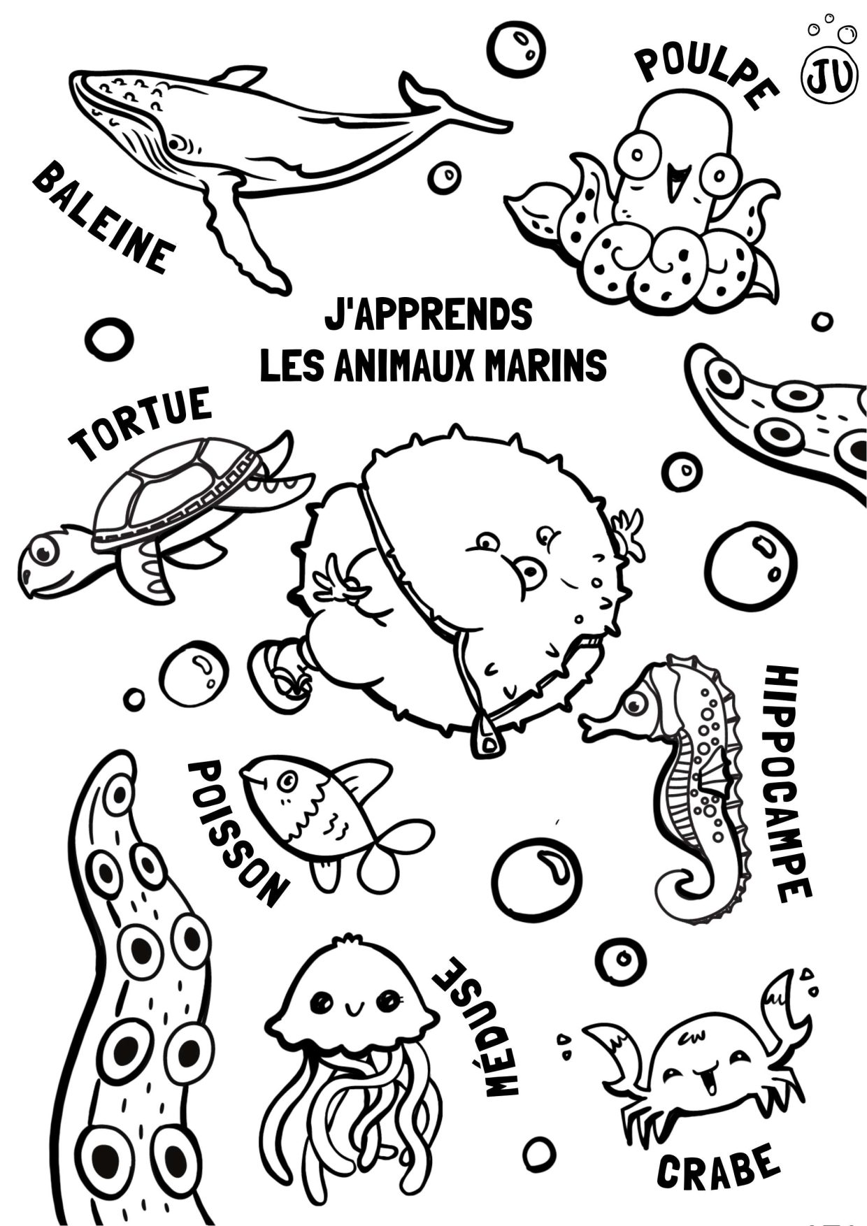 Coloriage Mammifères Marins